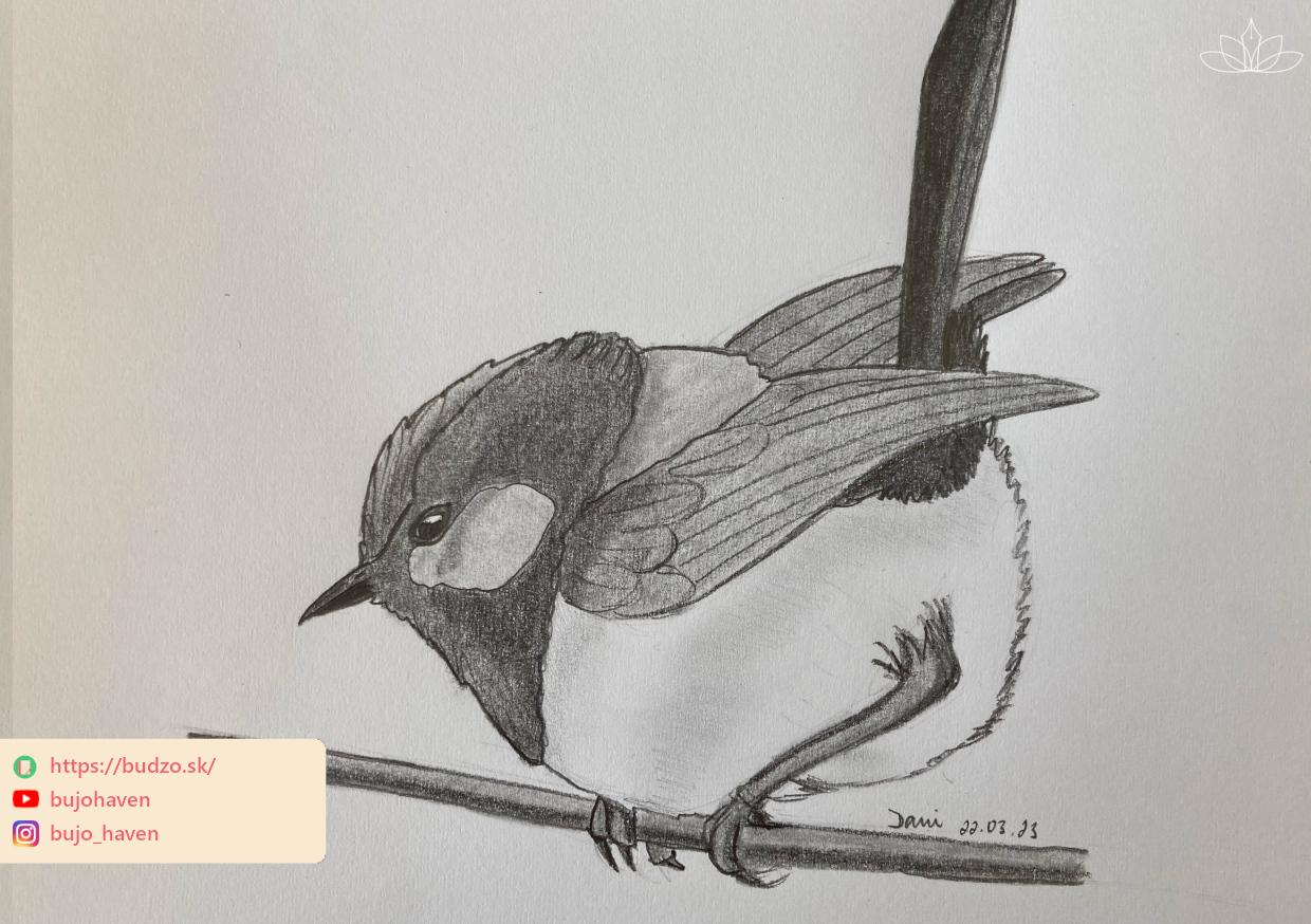 Naučte sa kresliť spolu so mnou! Časť 7 – Postup kresby v piatich ...